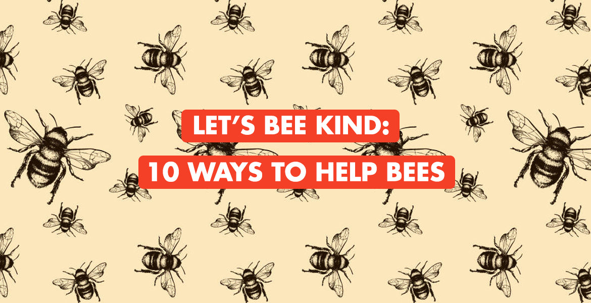 Let's Bee Kind: 10 Ways to Help Bees – Okido
