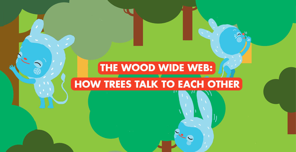 The wood wide web: How trees talk to each other – Okido